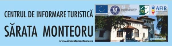 Casa cu Tei – Sarata Monteoru